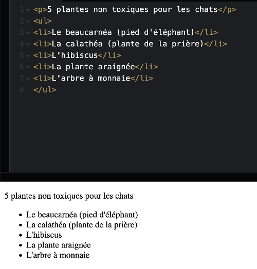 Comment Faire Une Liste HTML Balises Et Et